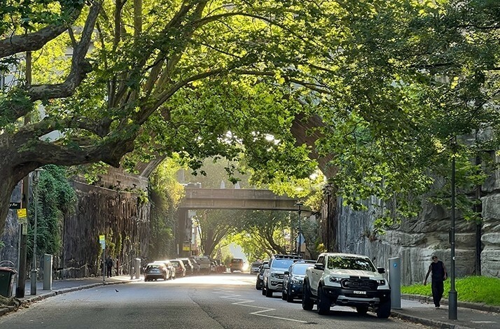 priceless™ | Discover Gadigal Country through five fascinating sites ...