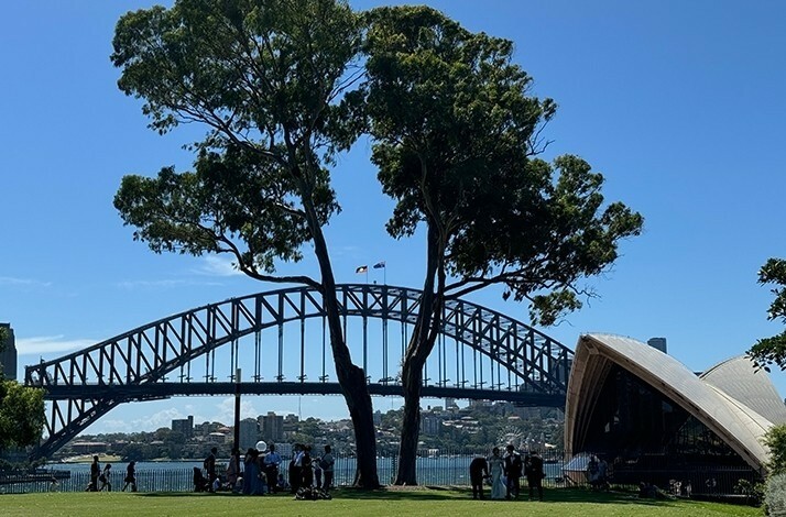 priceless™ | Discover Gadigal Country through five fascinating sites ...