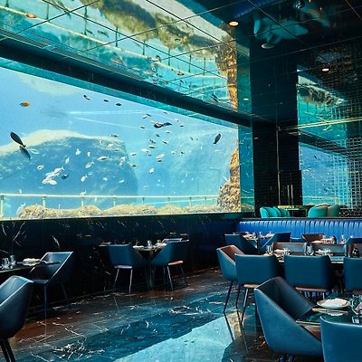 priceless™ | Nemo Antalya